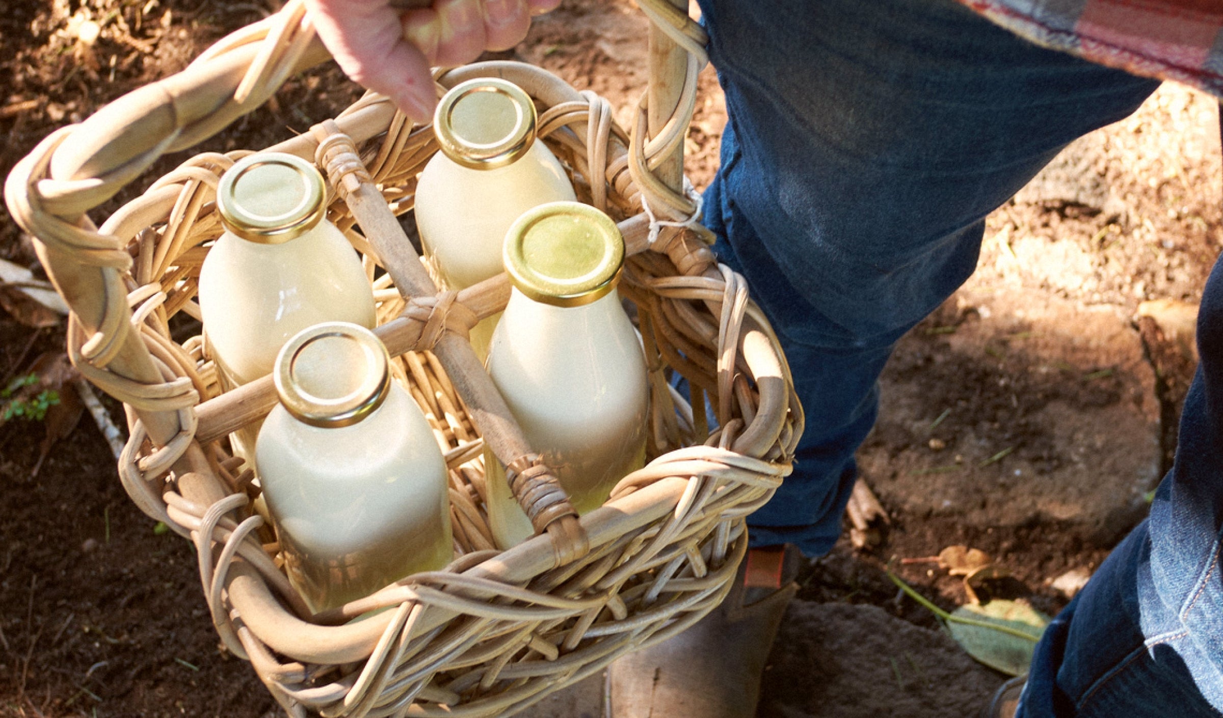 Where Is Nicotinamide Riboside (NR) Found in Food Sources? | Tru Niagen®