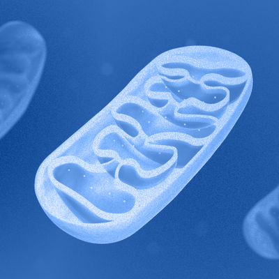 Cellular Health Benefits | Tru Niagen®